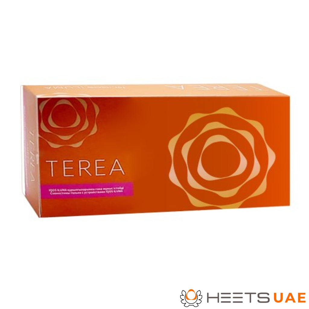 Heets TEREA Amber from Kazakhstan For IQOS ILUMA with Free Home ...